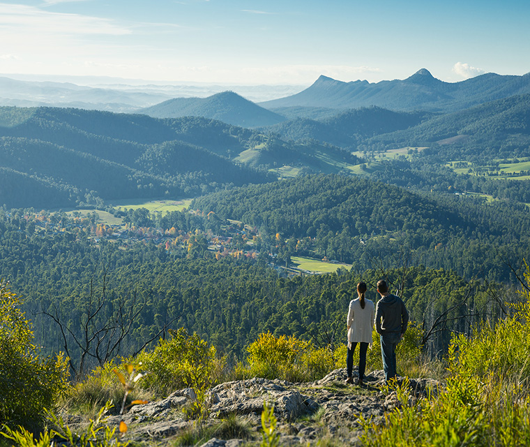 Winter in the Yarra Valley