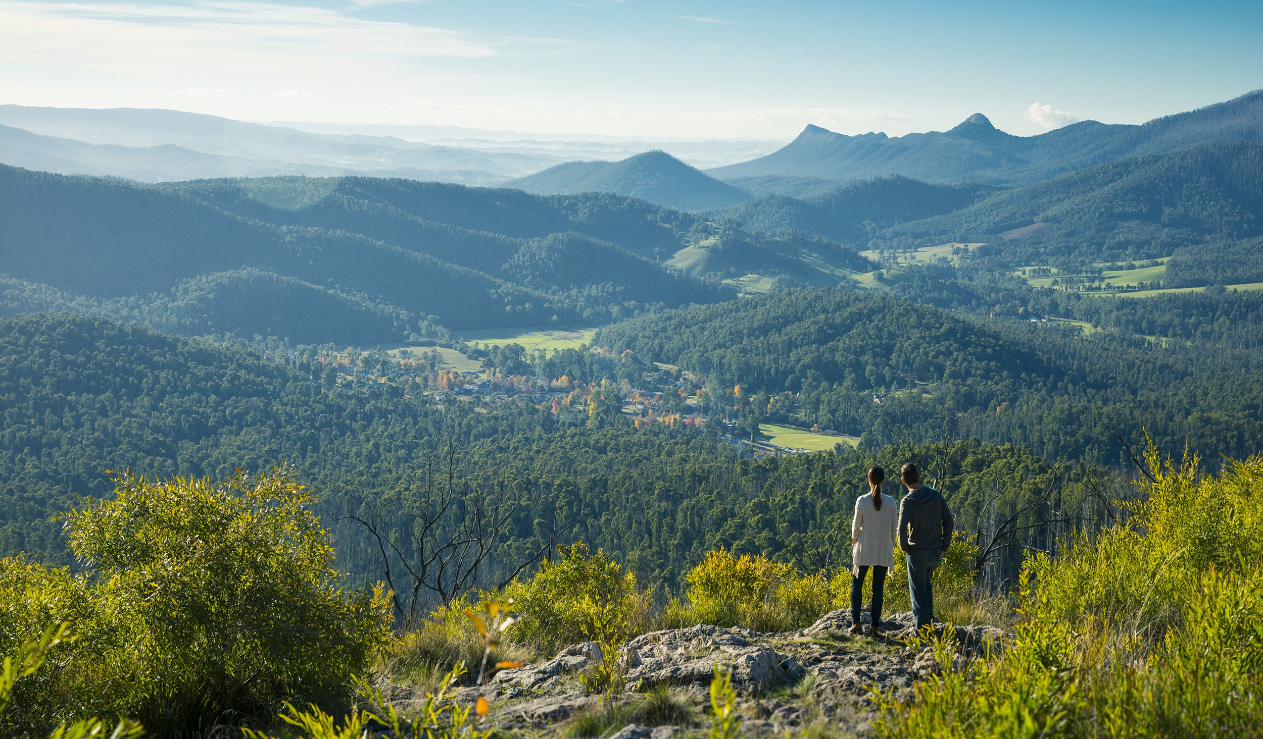 Winter in the Yarra Valley